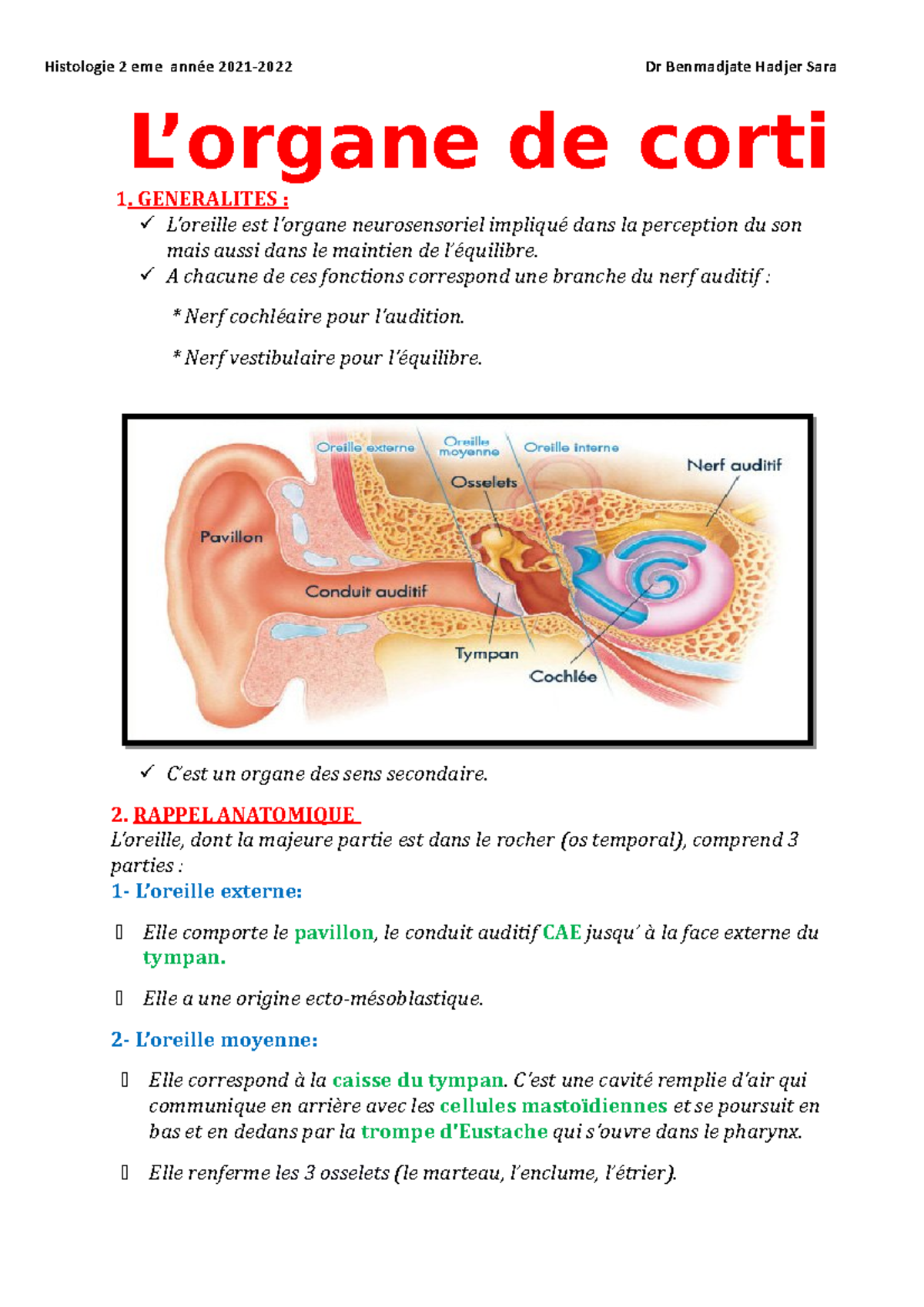 Cours-benmadajte - Bilogier - L’organe de corti 1. GENERALITES : L ...