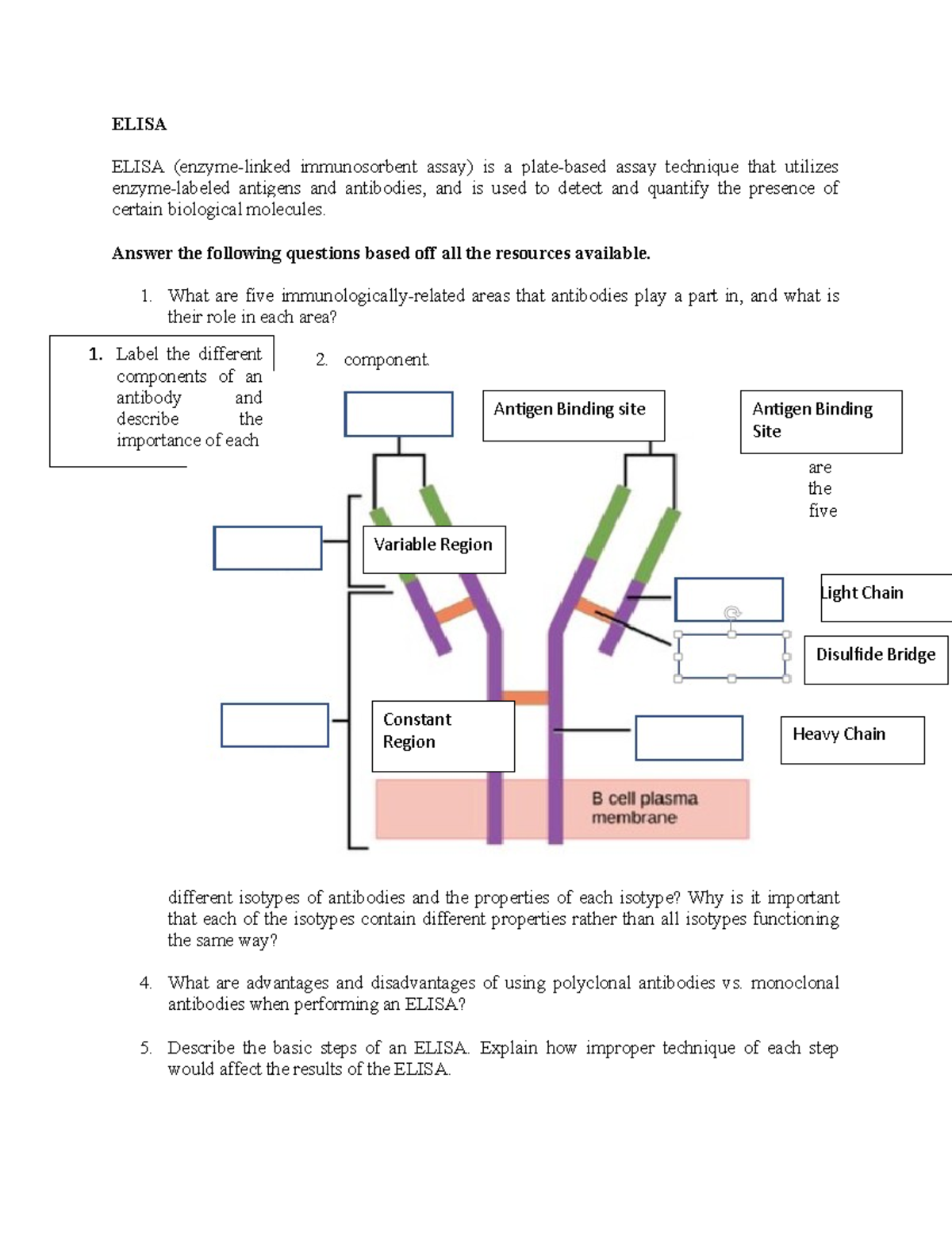 Elisa Follow-up Assignment - ELISA ELISA (enzyme-linked immunosorbent ...