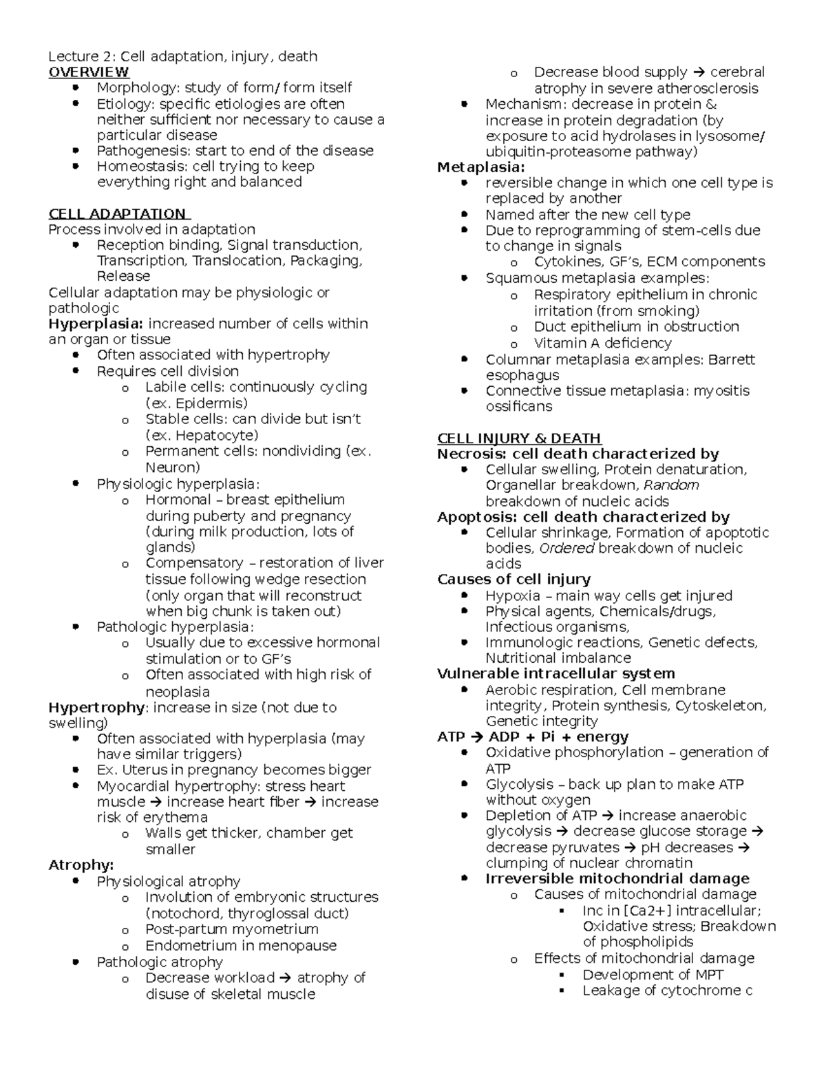2 - Lecture notes 2 - OVERVIEW Morphology: study of form/ form itself ...