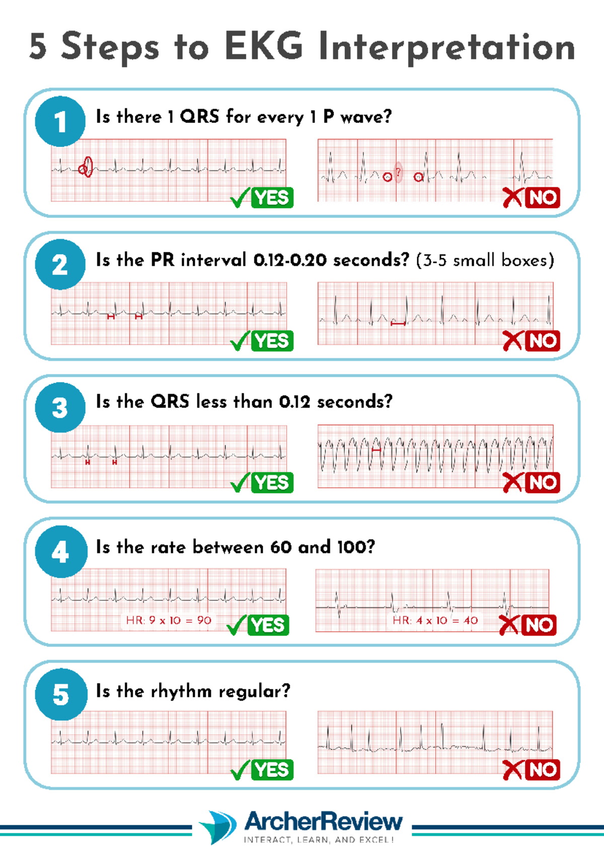 Steps to EKG Interpretation Cheat Sheet 462024 - Plant physiology ...