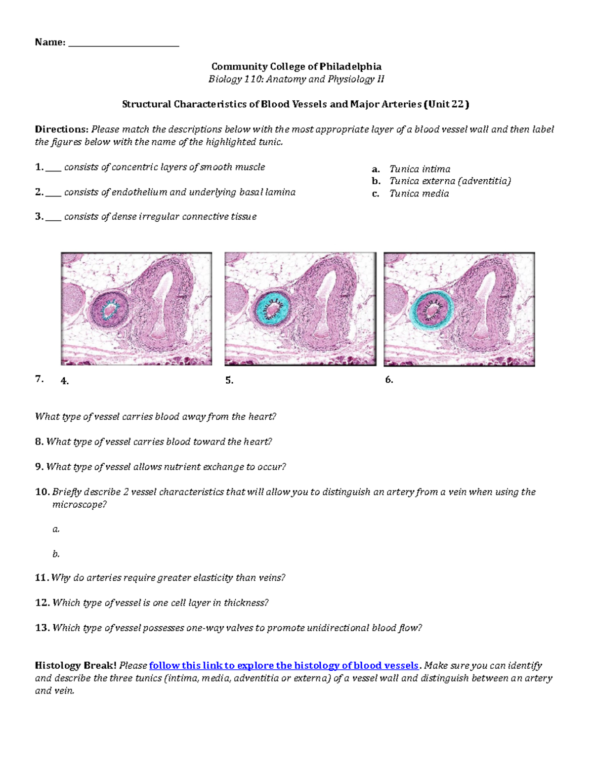 Bio 110 Online Blood Vessel Structure, Function and Circulation - Name
