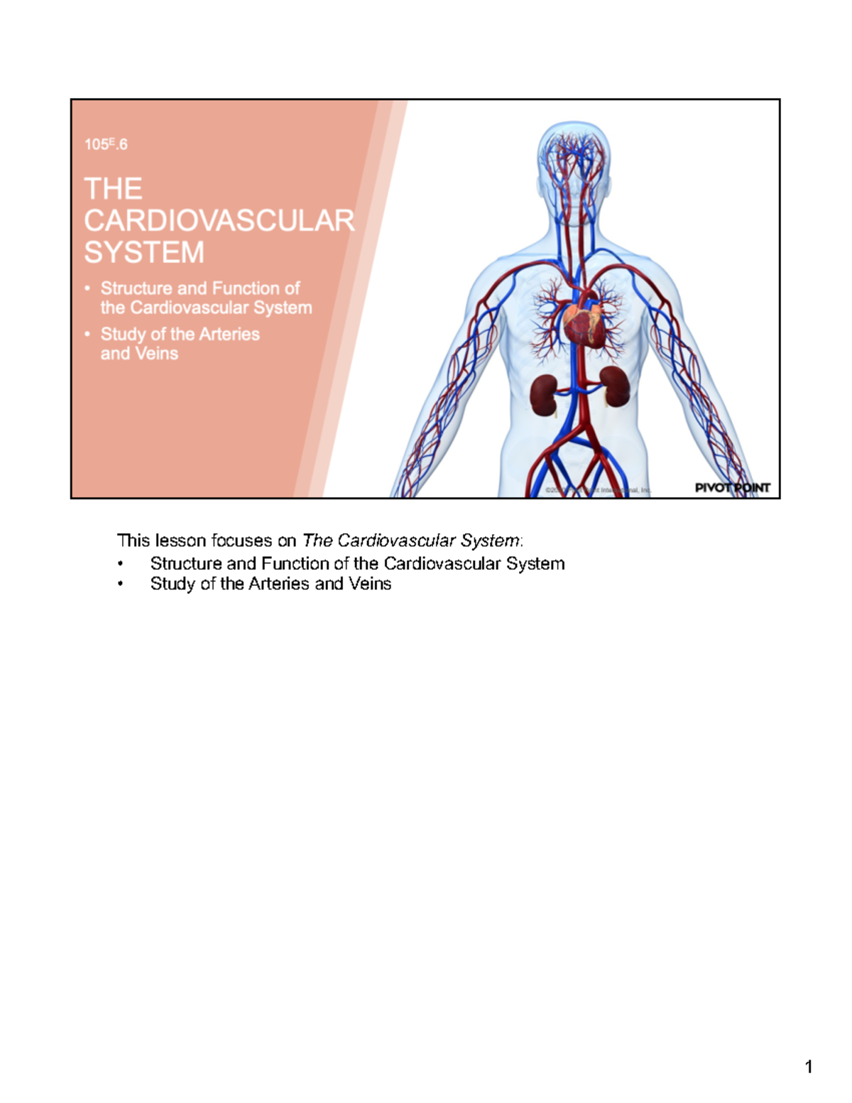 105E 06 Study Slides - This lesson focuses on The Cardiovascular System ...