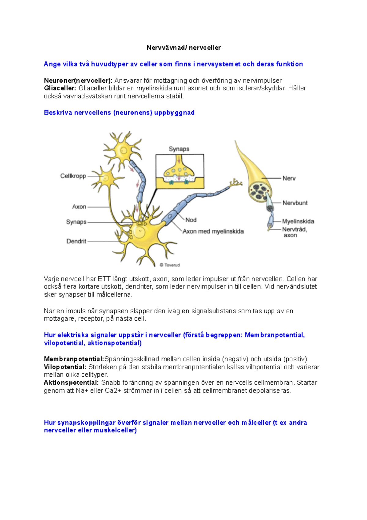 Nervvävnad - Målbeskrivning - Nervvävnad/ nervceller Ange vilka två ...