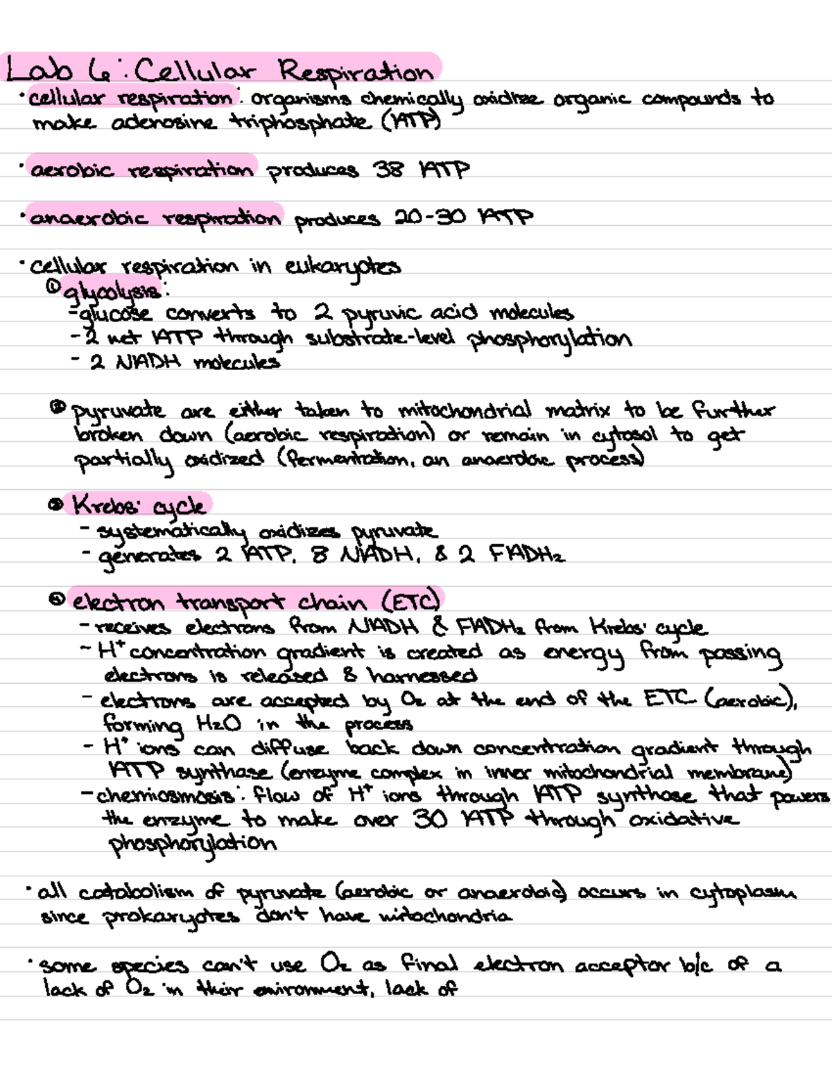 Lab 6- cell respiration - Lab G: Cellular Respiration ####### ·cellular ...