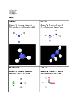 Chemistry work with groups - CHEM 1100 - Studocu