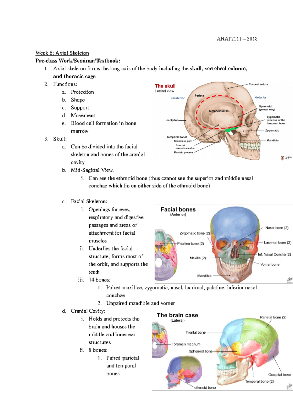 ANAT2111-axial skel - Lecture notes 6 - ANAT2111 – 2018 Week 6: Axial ...