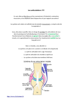 Fiche Anatomie - La substance grise est constitué des coprs cellulaires ...