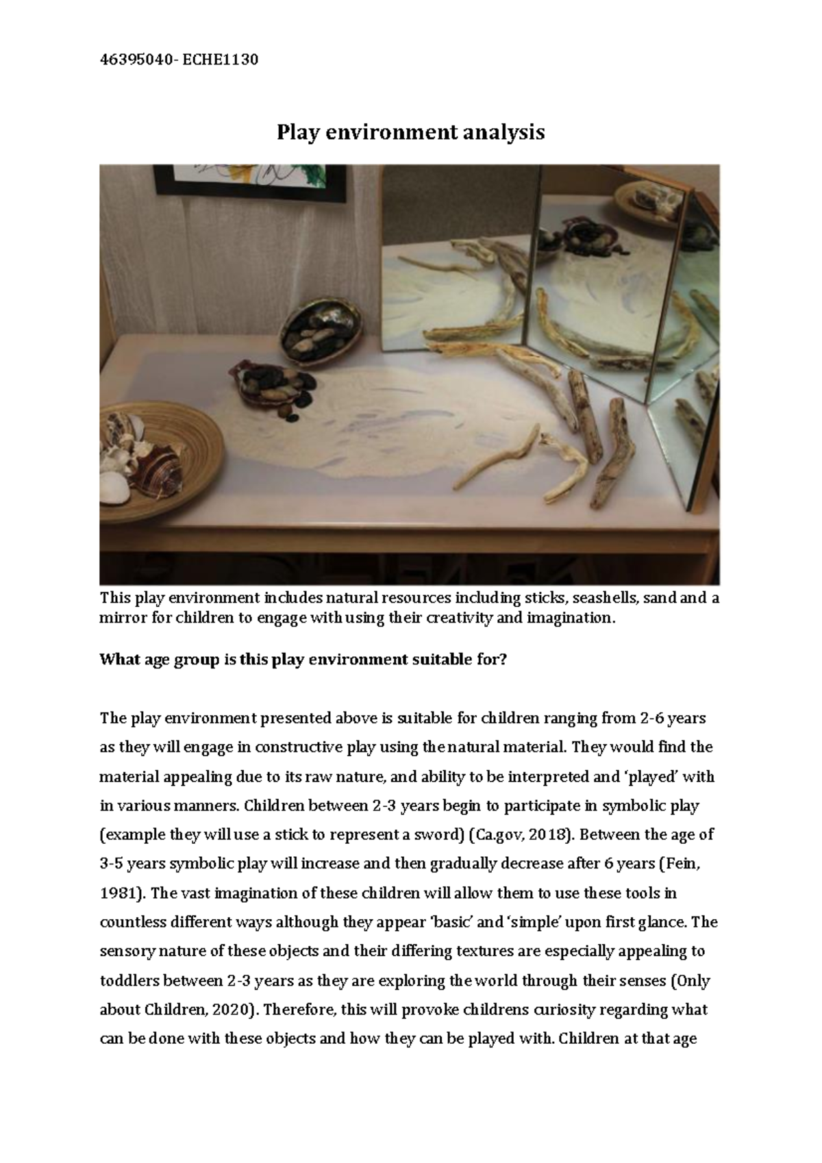 Play environment analysis - What age group is this play environment ...