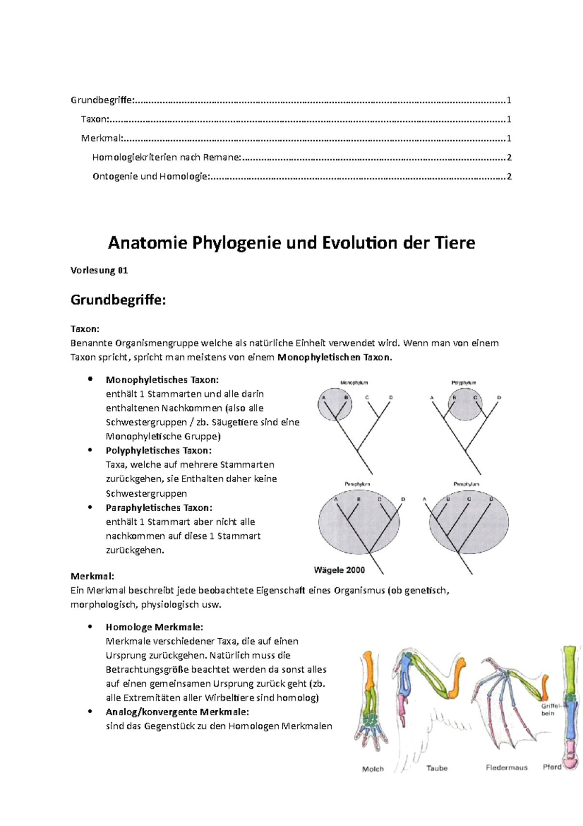 Anatomie, Phylogenie und Evolution der Tiere - - Studocu