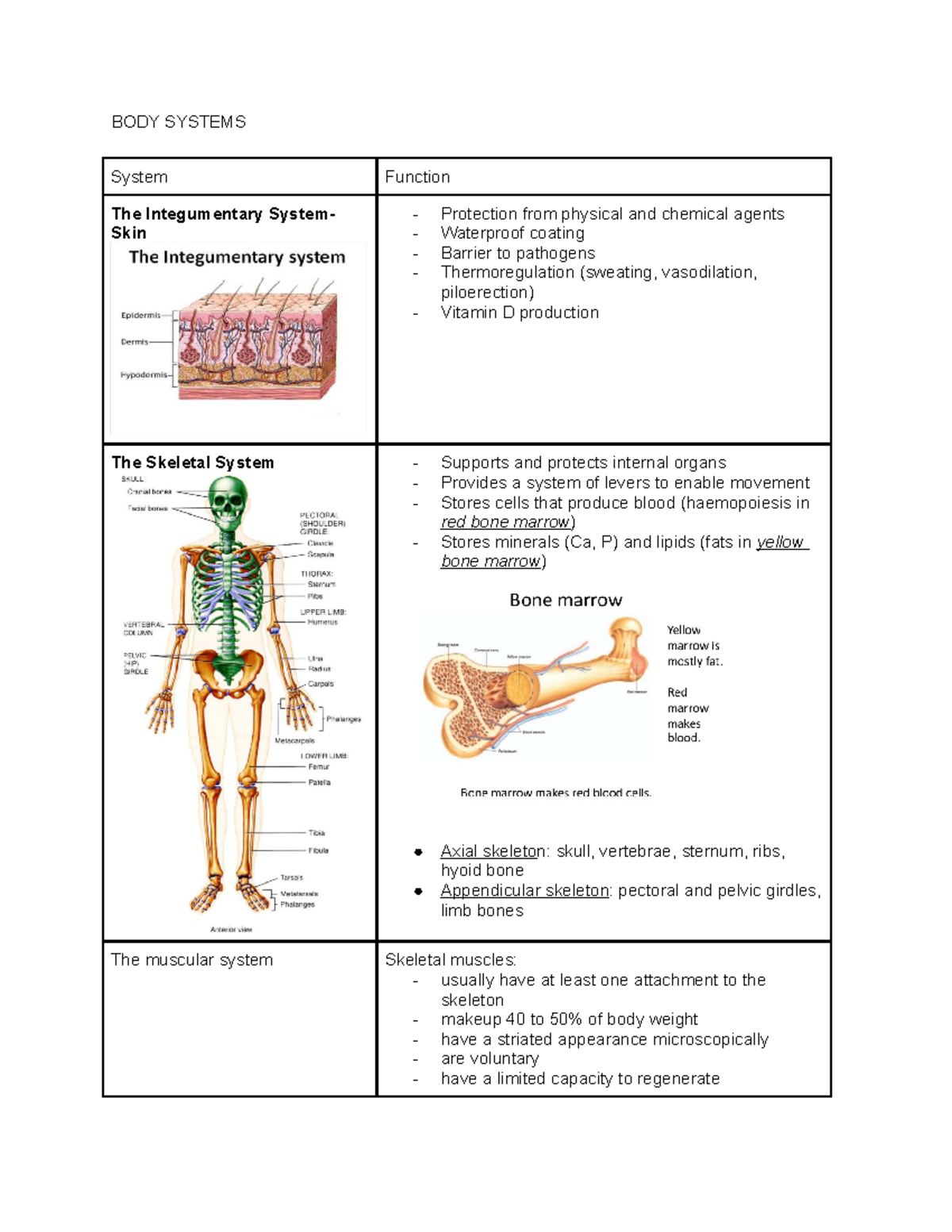 ANAT1521 body system - The contents summarise as well as describe all ...