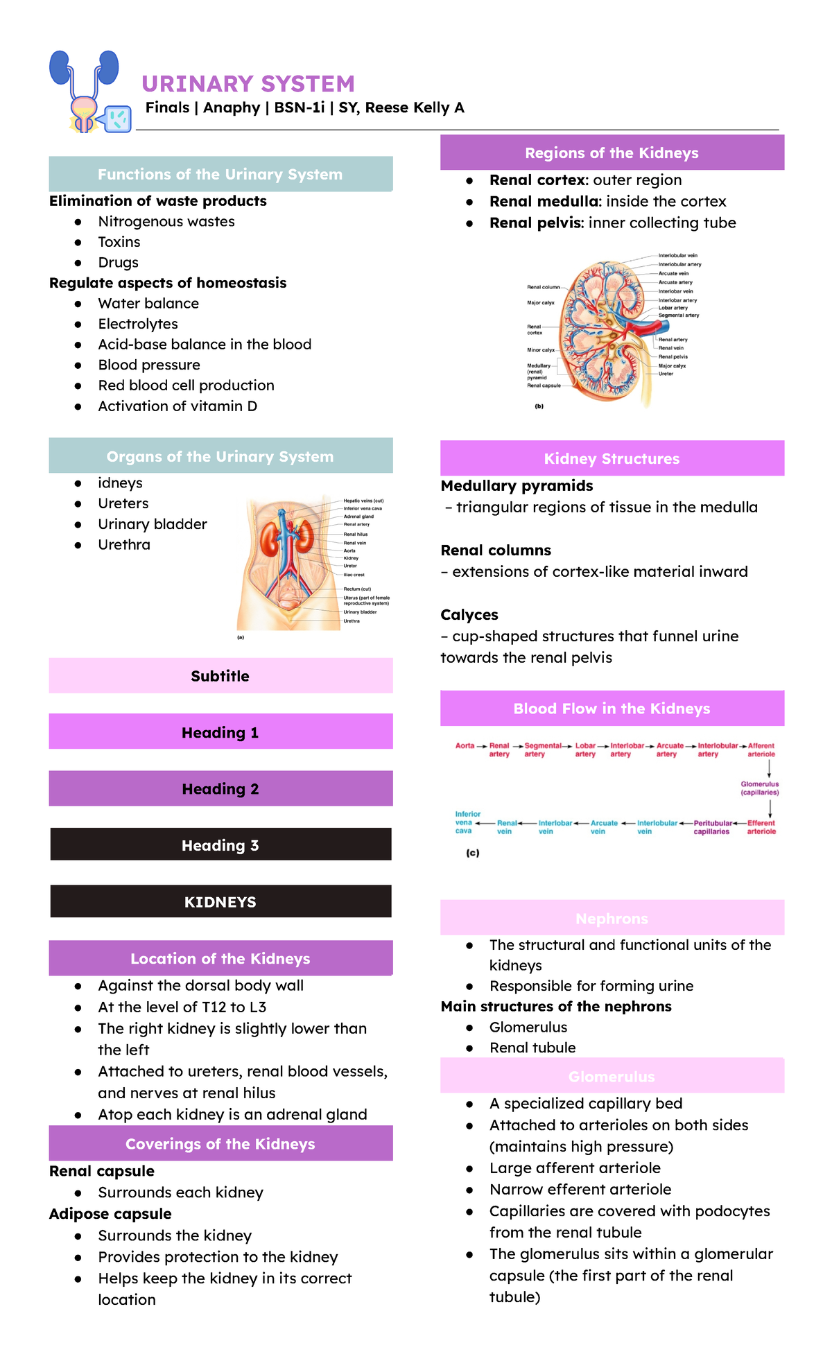 Urinary System - Anaphy -Dullin ; Marieb - URINARY SYSTEM Finals ...