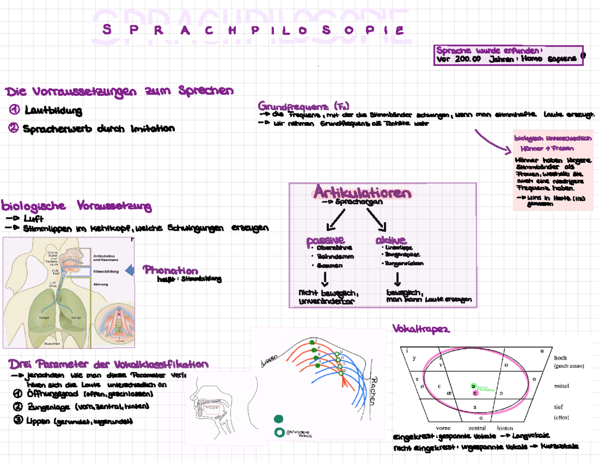 Sprachphilosophie - Anja Voeste, Vorlesung - §.PE/+EHFtkQSsOFtE ...