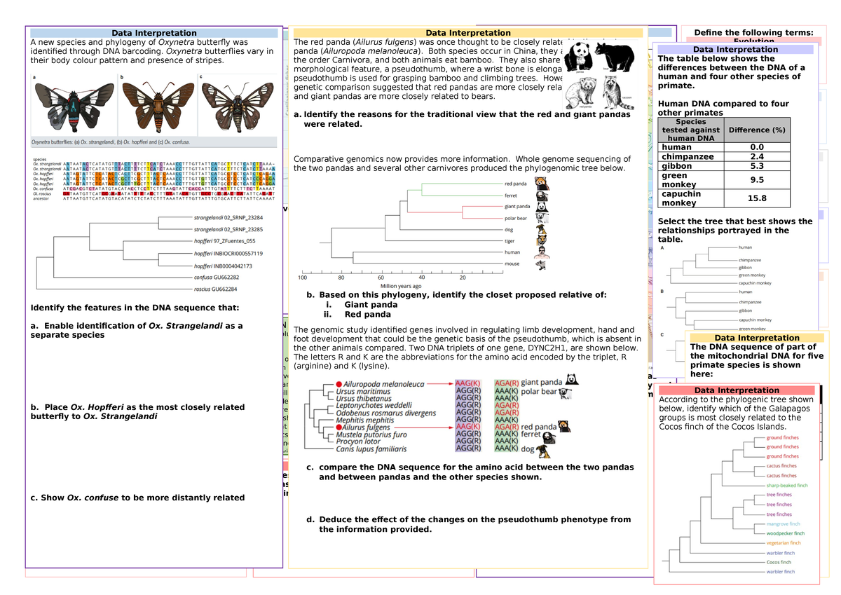Unit 4 - Topic 2 - Unit 4 Study Notes - EVOLUTION define the terms ...