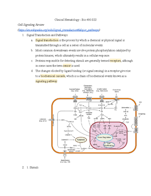 BIO480 Hematology - Chapter 14 Chronic Myeloid leukemia - CMLs is ...