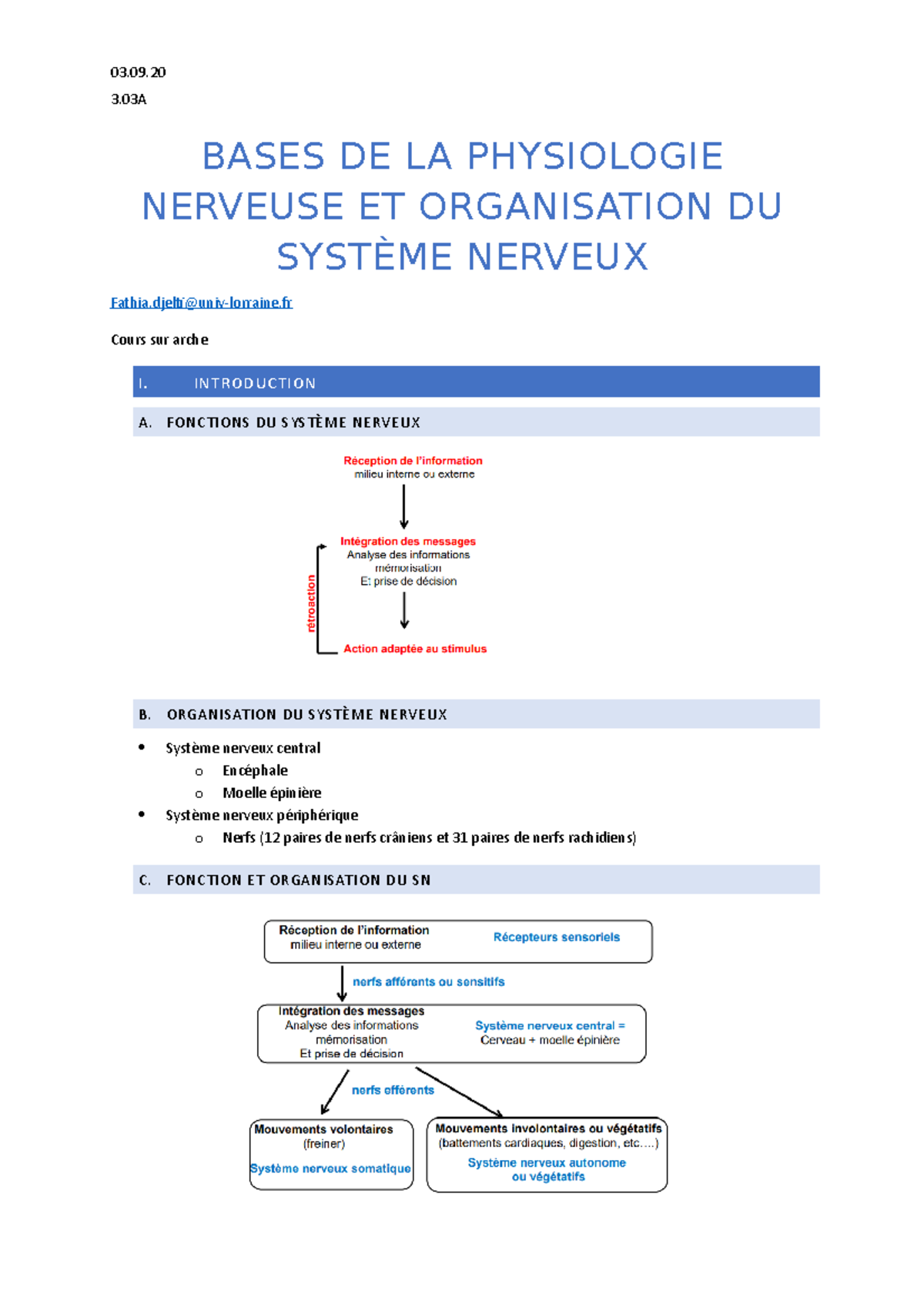 Physiologie et système nerveux - 3 BASES DE LA PHYSIOLOGIE NERVEUSE ET ORGANISATION DU SYSTÈME ...