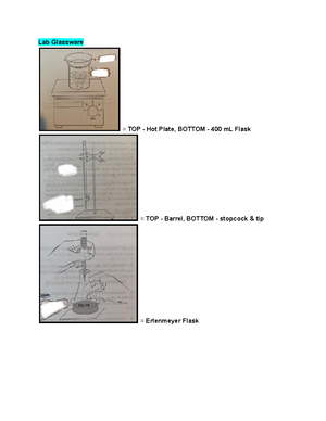 BIO111 Modules 9 Study Guide - 1BIO111 Modules 9 Study Guide Module 9 ...