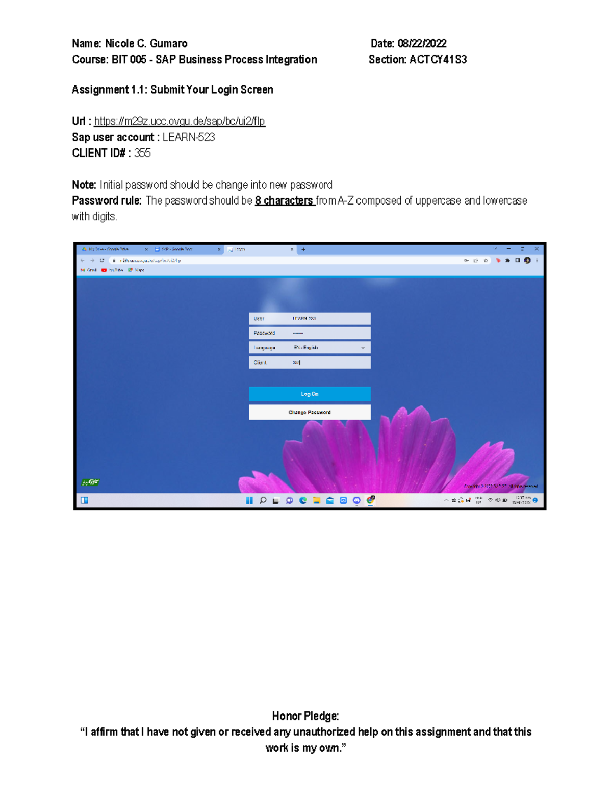 Assignment 1.1 SAP - Course: BIT 005 - SAP Business Process Integration ...