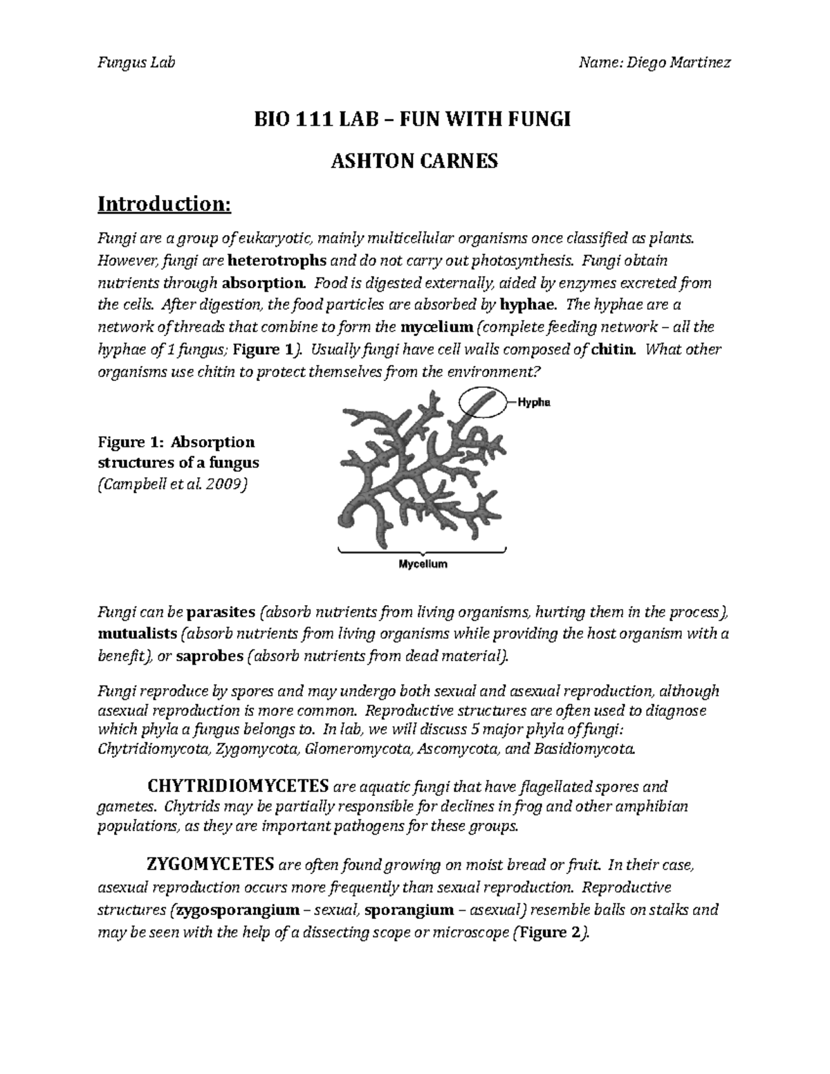 Lab-4 Fungus - BIO 111 LAB – FUN WITH FUNGI ASHTON CARNES Introduction ...