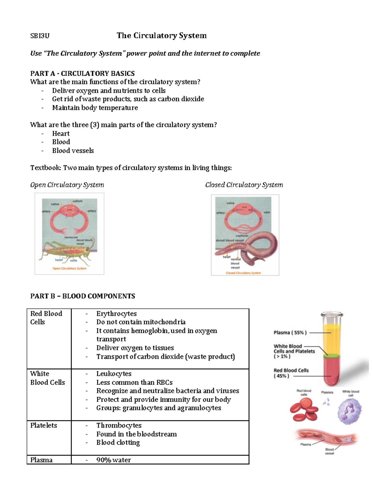 The Circulatory System Student Organizer - SBI3U The Circulatory System Use “The Circulatory ...
