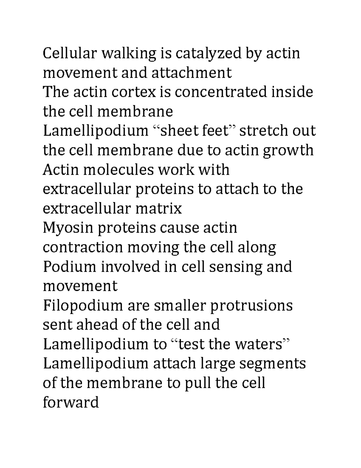 Cytoskeleton Lecture Notes Cell Bio - Cellular walking is catalyzed by ...