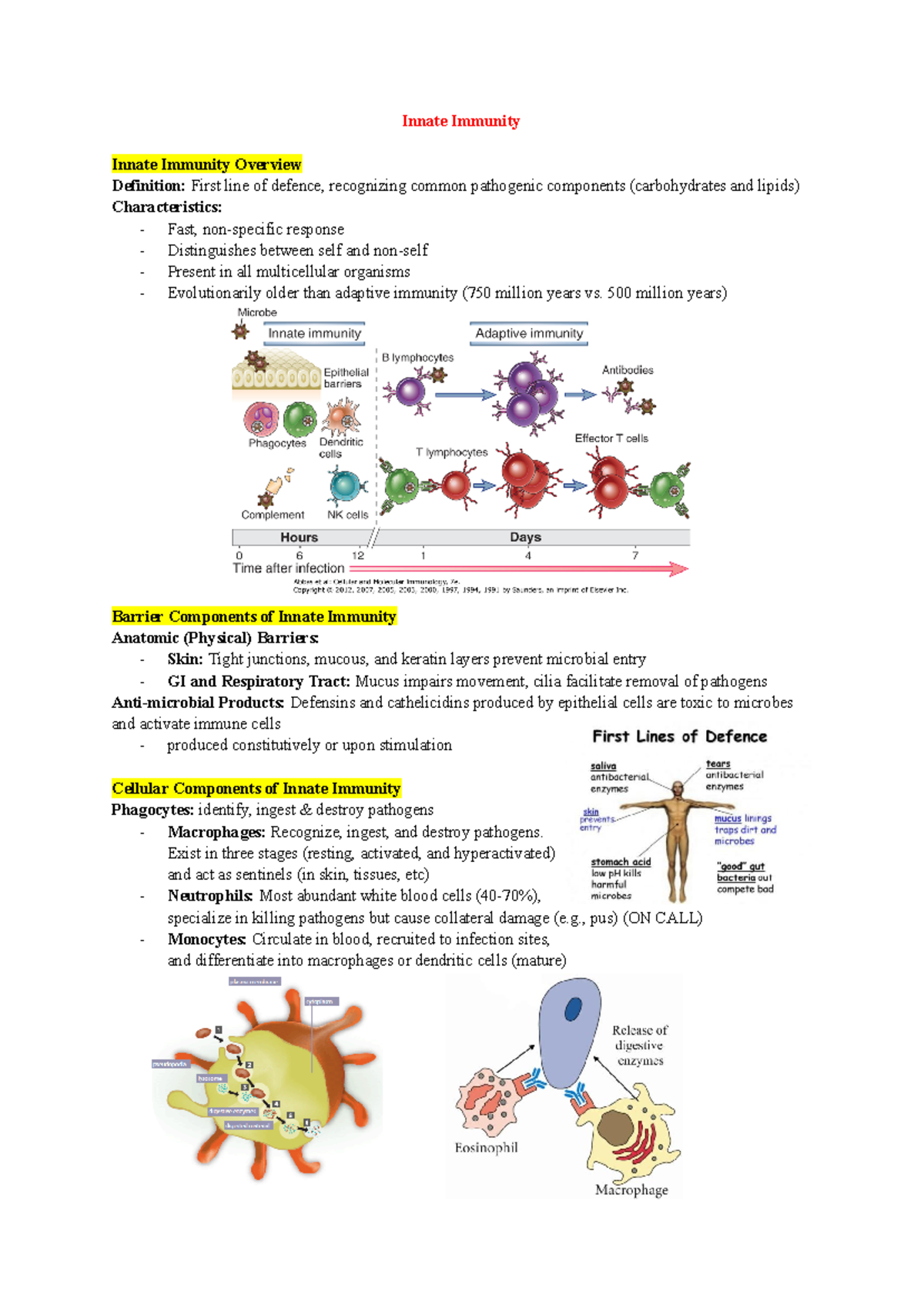 Innate Immunity - PATHO - Innate Immunity Innate Immunity Overview ...