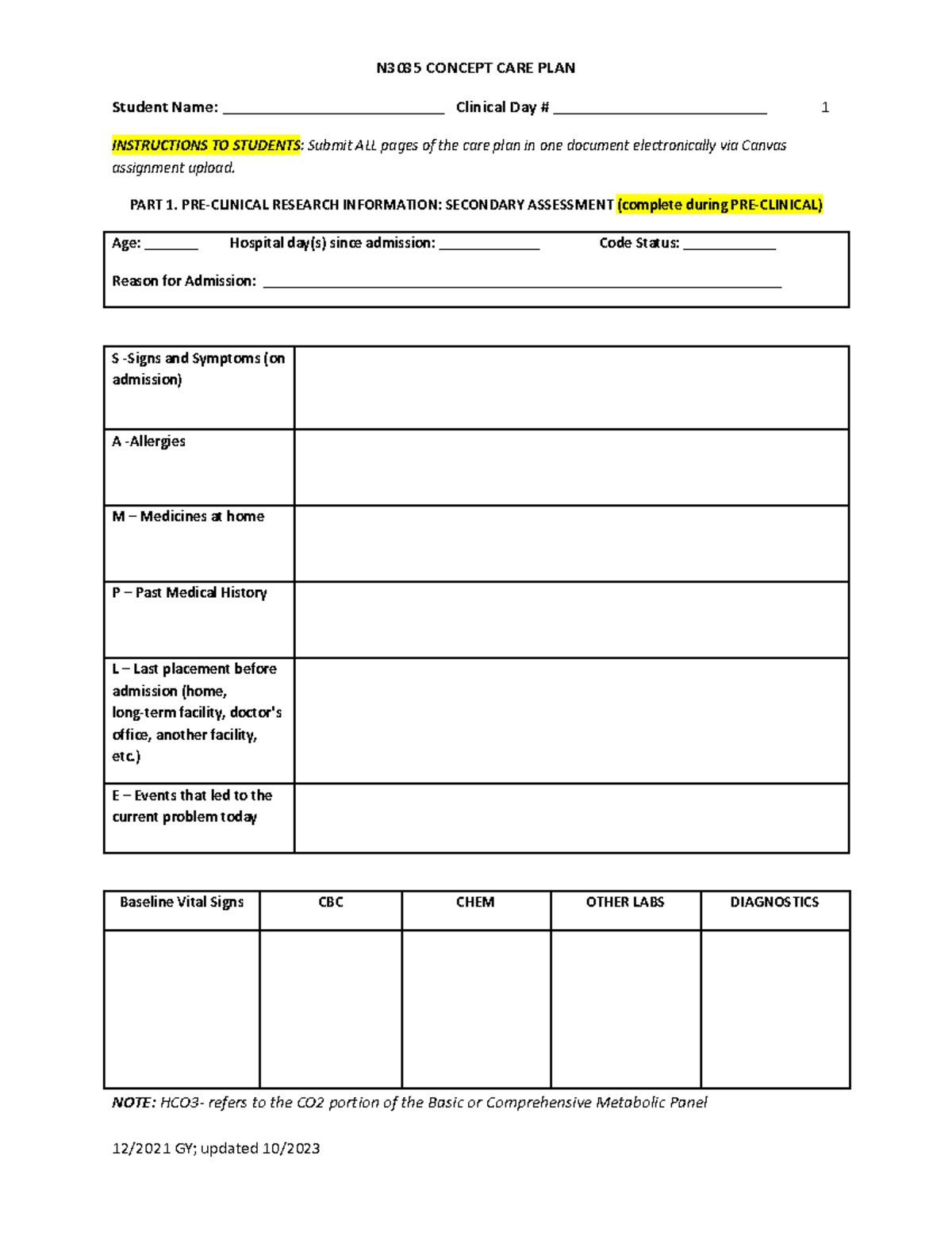 N3035 Concept CARE PLAN - Google Docs - Student Name ...