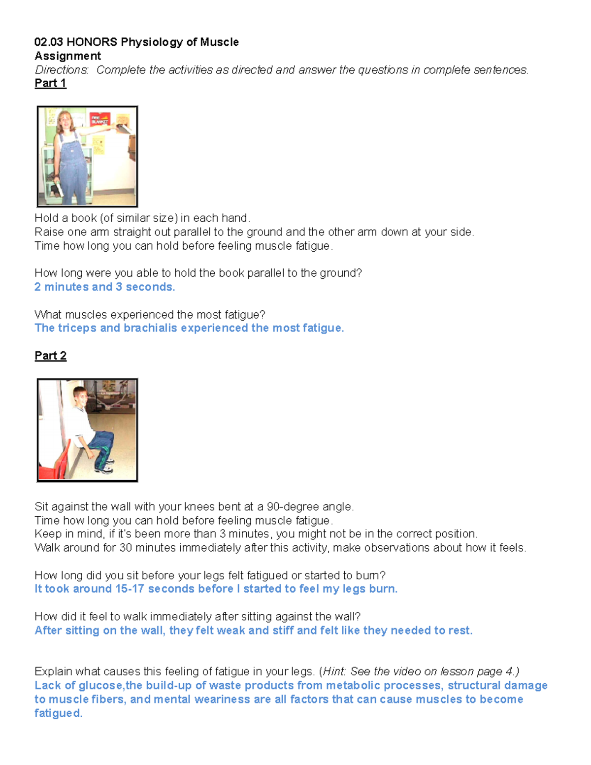 Copy of 2 - Anatomy work - 02 HONORS Physiology of Muscle Assignment ...