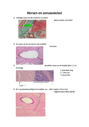 Labo3 cel en weefselleer - Labo3: microscopie van beenweefsels ...