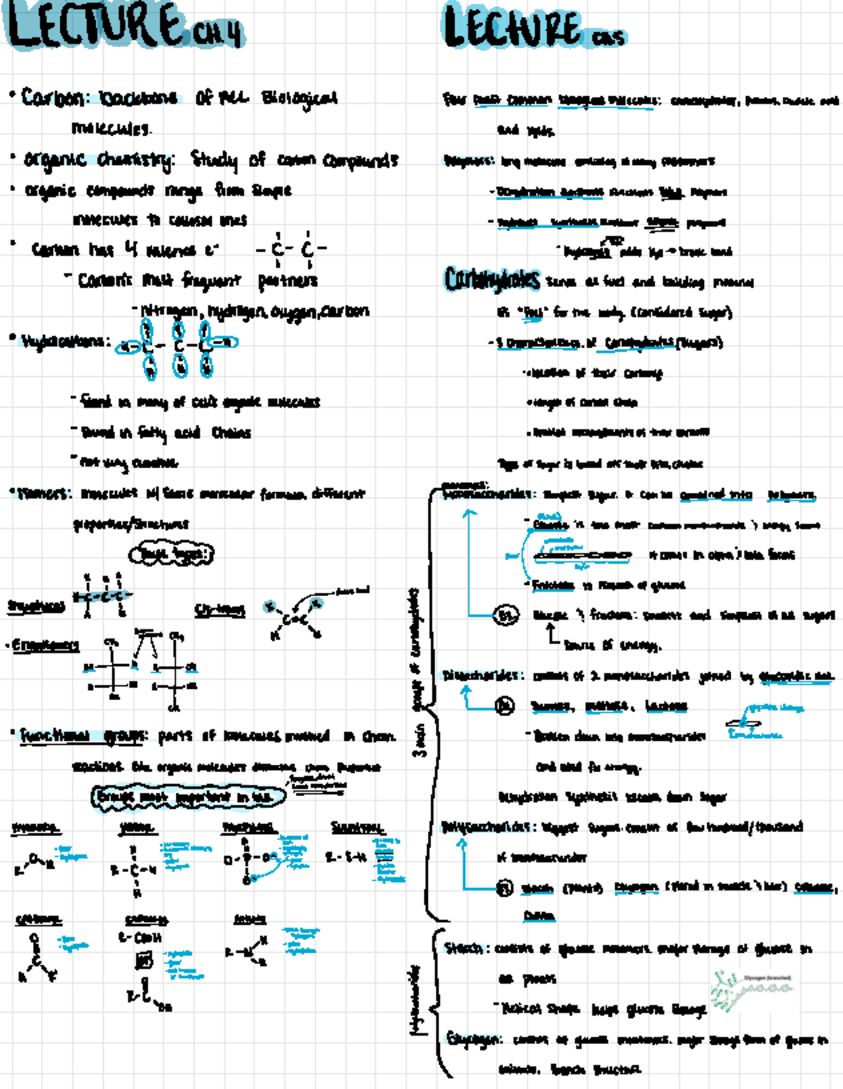 BIO-4A 2 - CONTIN. of lecture notes from chapter 4 and 5. PROFESSOR ...