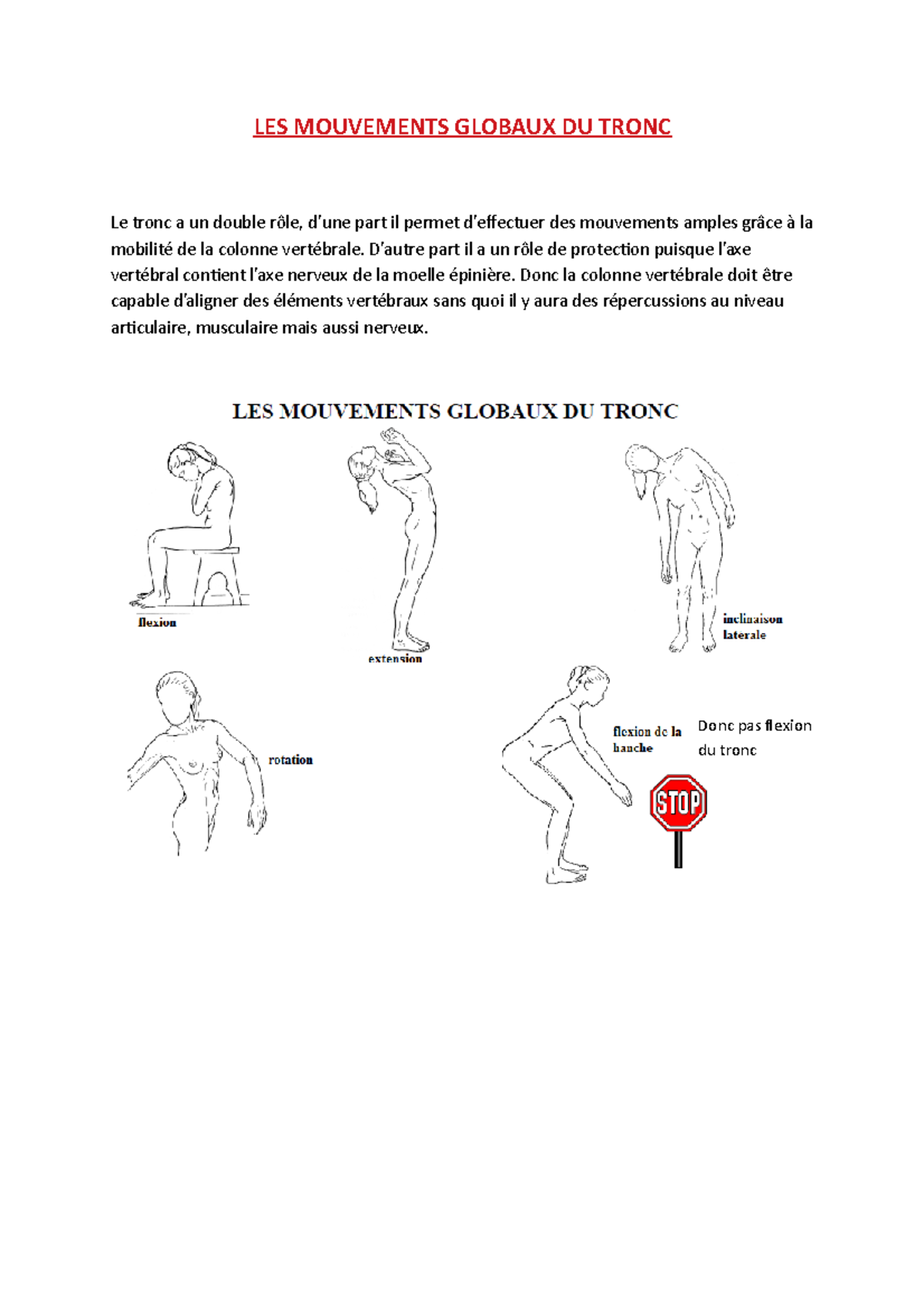 Anatomie fonctionnelle LE DOS - LES MOUVEMENTS GLOBAUX DU TRONC Le ...