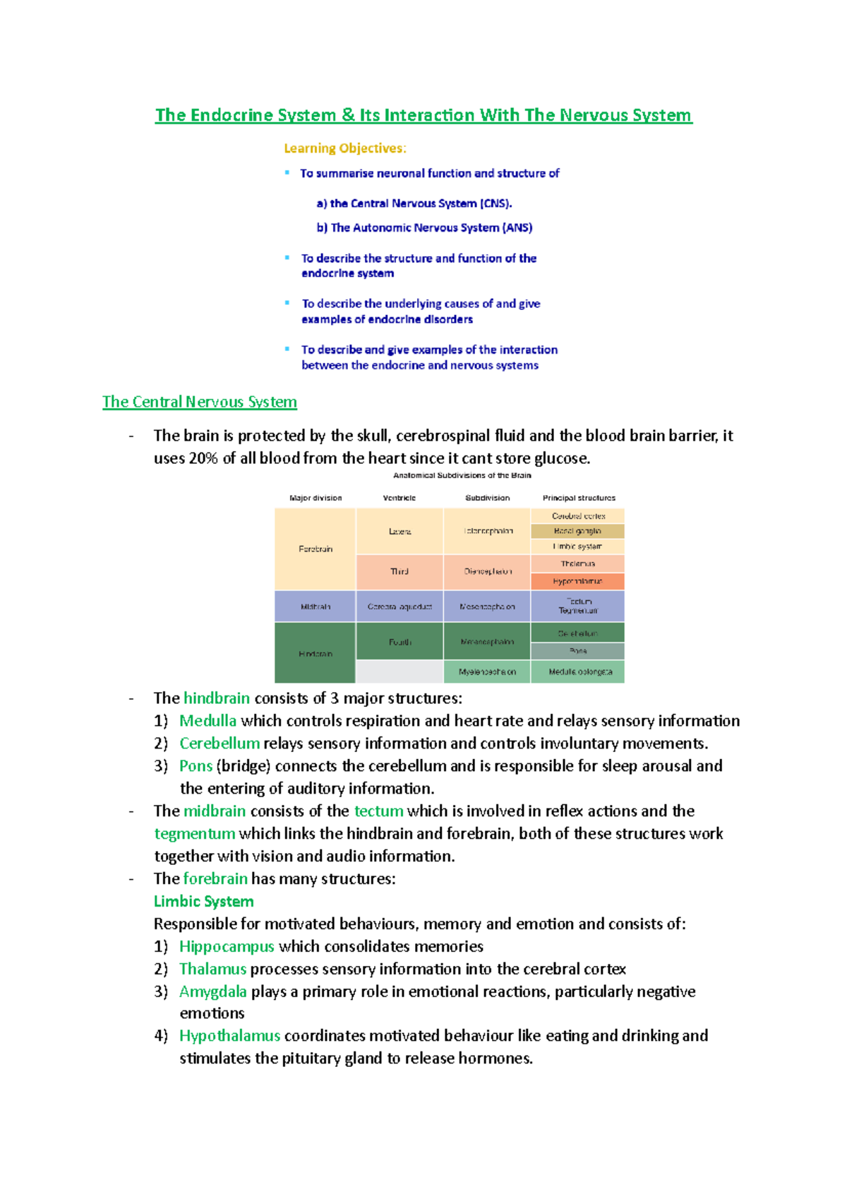 The Endocrine System - These are revision notes for the lecture ...