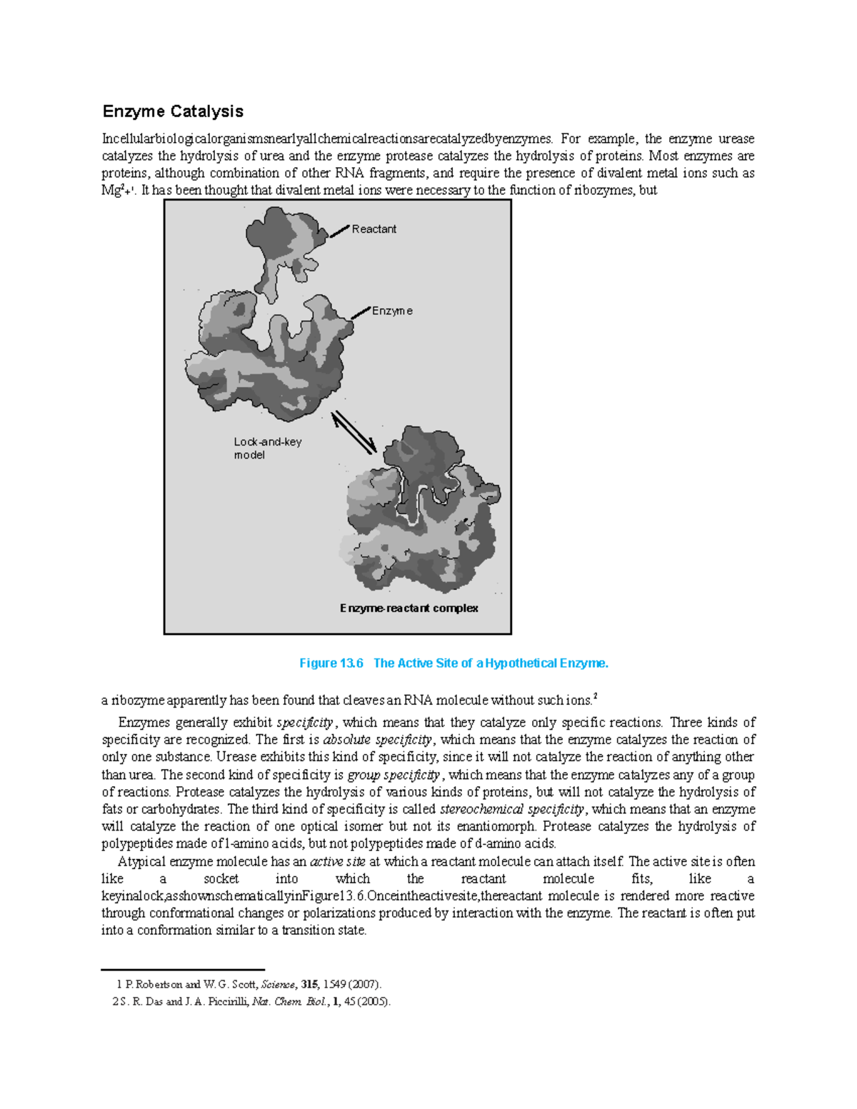 Enzyme Catalysis - lecture notes, review, and answers. - Enzyme ...