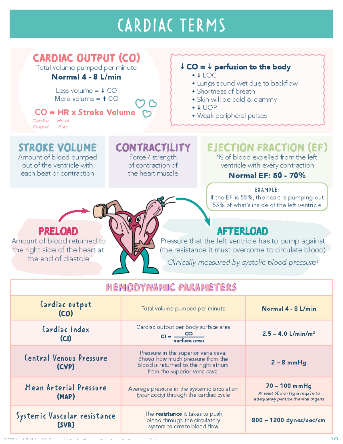 Cardiac Terms and Concepts - Studocu
