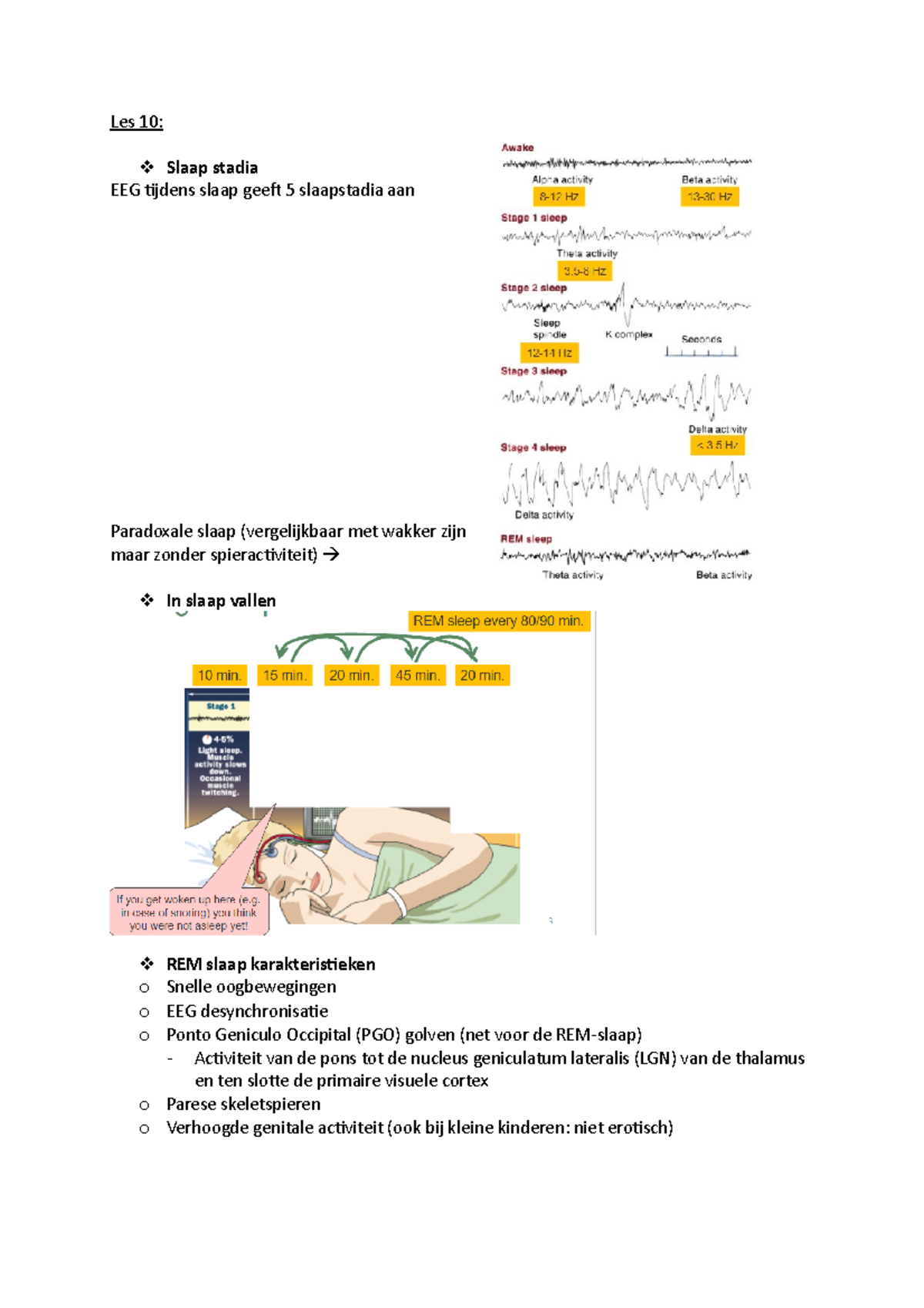 Les 10 - les 10 - Les 10: Slaap stadia EEG tijdens slaap geeft 5 ...