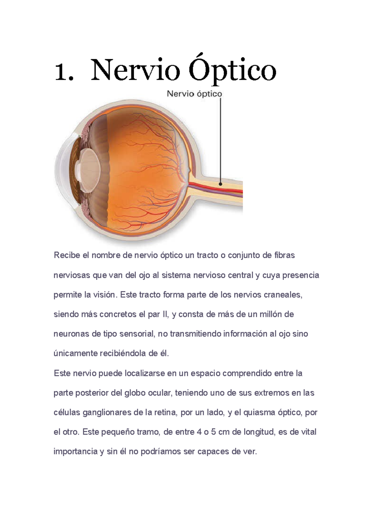 Nervios Craneales - Apuntes 5, 7 - 1. Nervio Óptico Recibe el nombre de ...