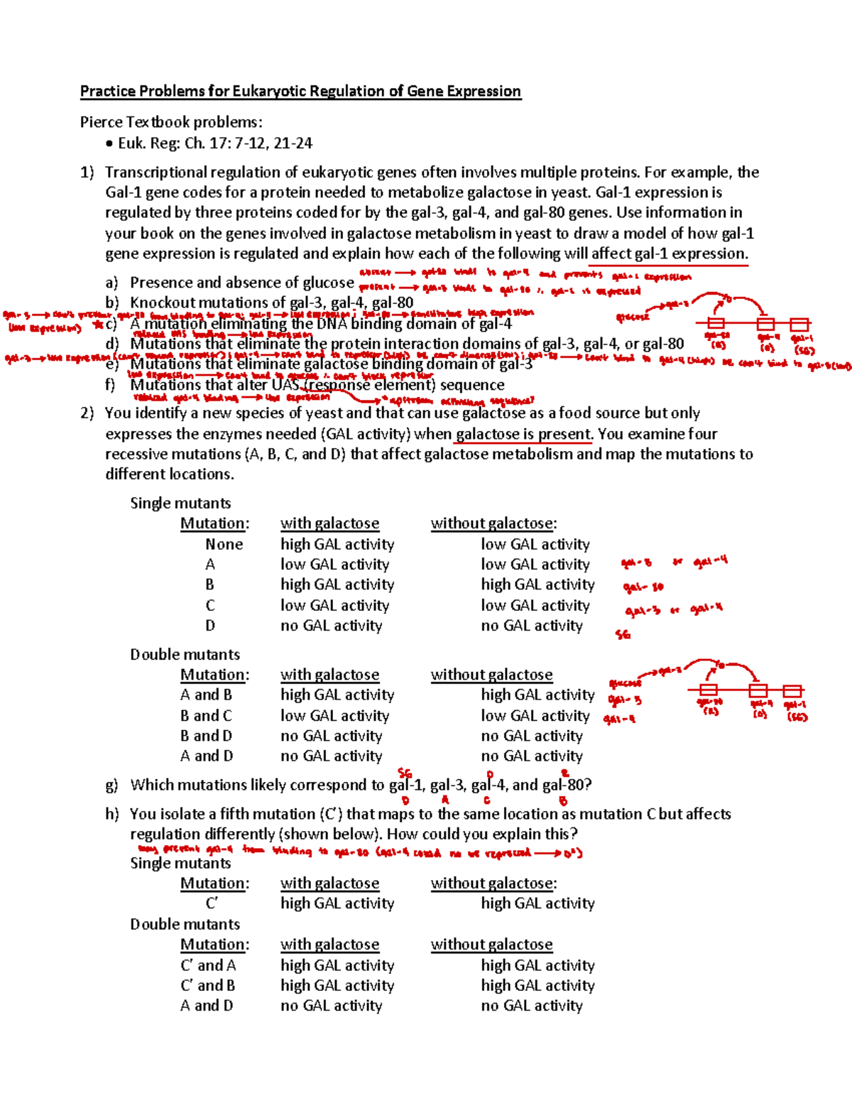 Eukaryotic Regulation Problems - Practice Problems for Eukaryotic ...