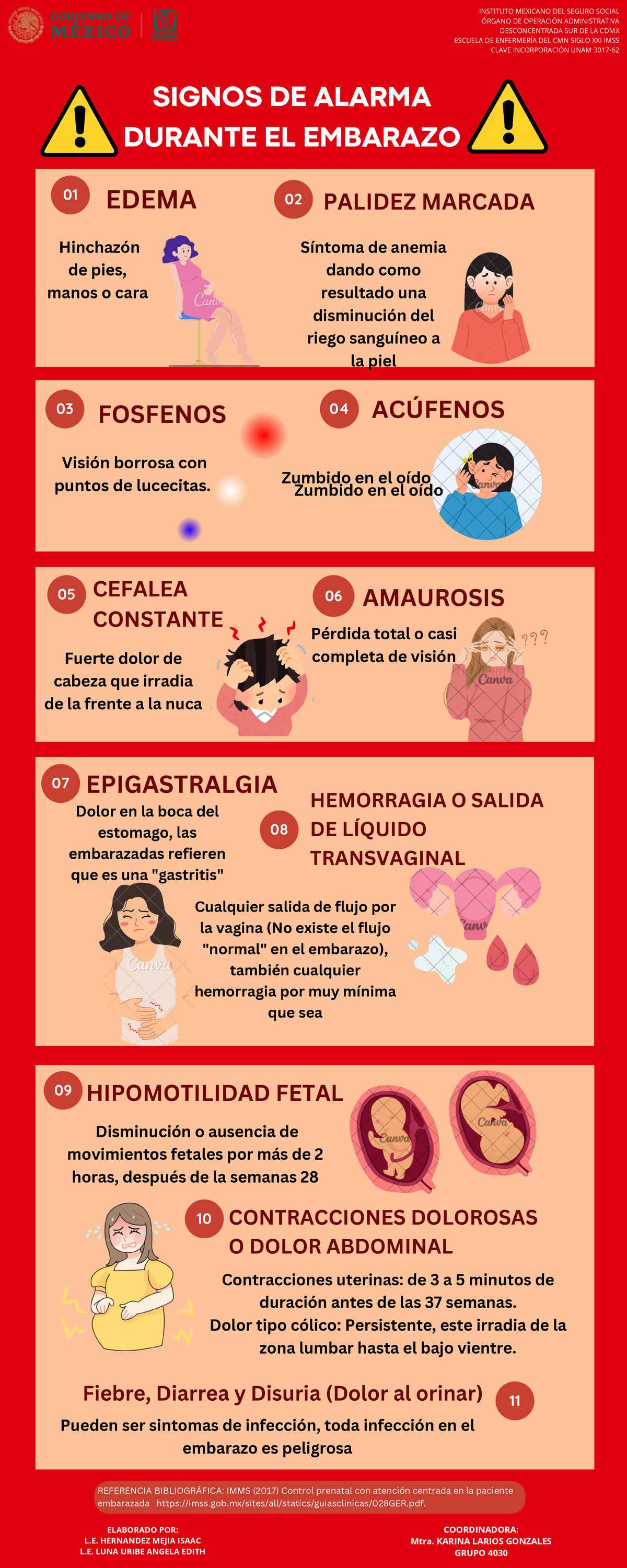 Infografía sobre los signos de alarma en el embarazo - 01 03 04 05 REFERENCIA BIBLIOGRÁFICA ...