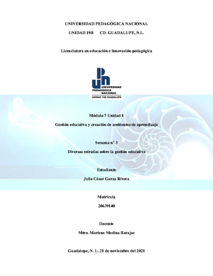 Mpacto - UNIVERSIDAD PEDAGÓGICA NACIONAL HIDALGO Licenciatura en ...