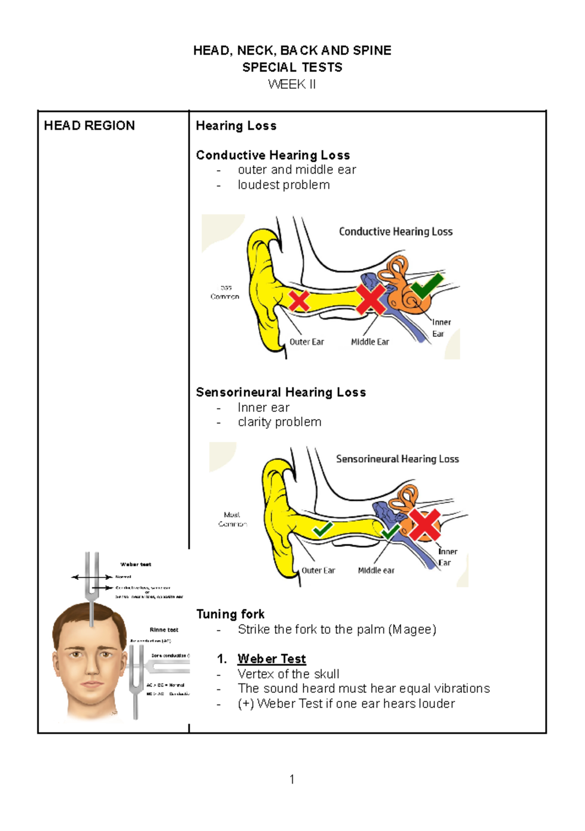 HEAD, NECK, BACK AND Spine Special TEST (Week 2) - HEAD, NECK, BACK AND ...