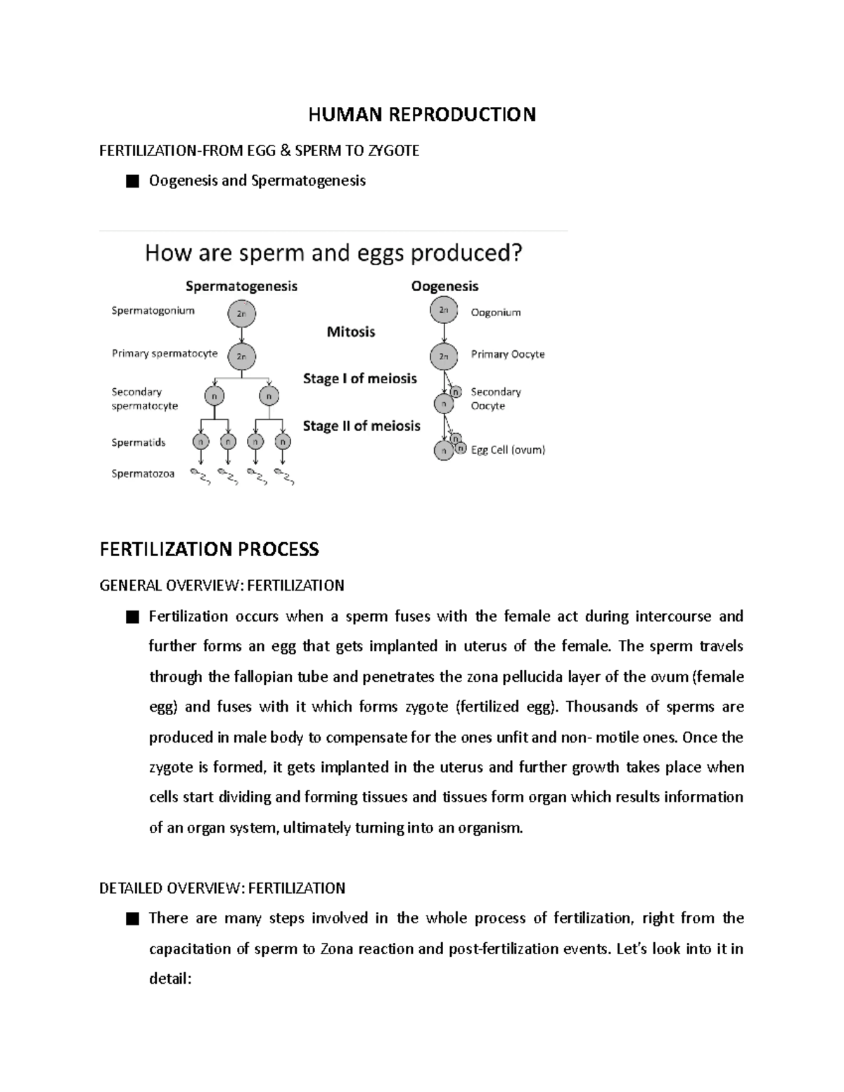 Human- Reproduction - handouts - HUMAN REPRODUCTION FERTILIZATION-FROM ...