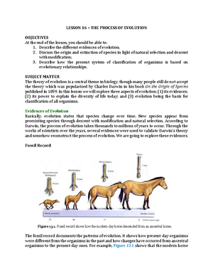 Module 3 - Deposition - Deformation Mount Everest is the highest peak ...