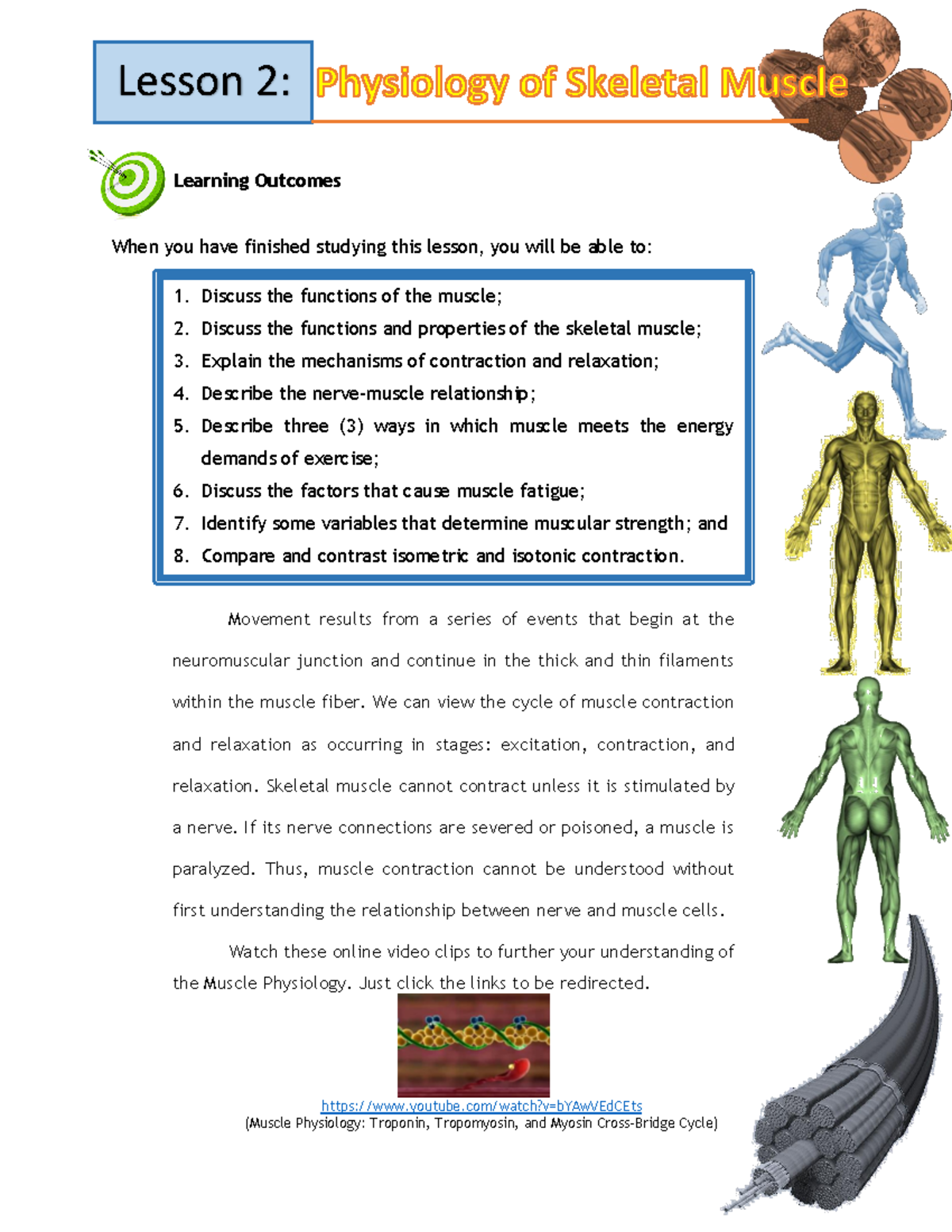 Muscular System Lesson 2 - 9 Learning Outcomes When you have finished ...