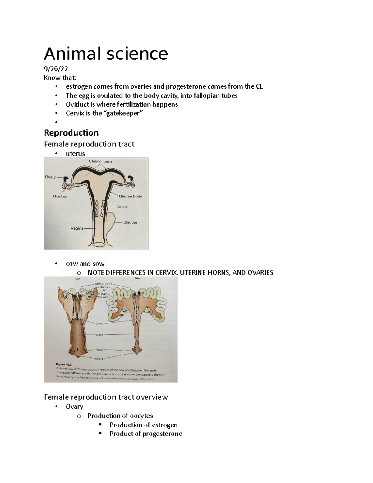 Reprodution notes - Animal science 9/26/ Know that: - estrogen comes ...