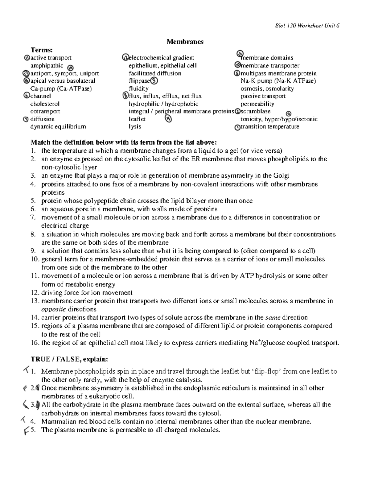 Worksheet Unit 6 - Membranes - Biol 130 Worksheet Unit 6 Membranes Terms: active transport - Studocu