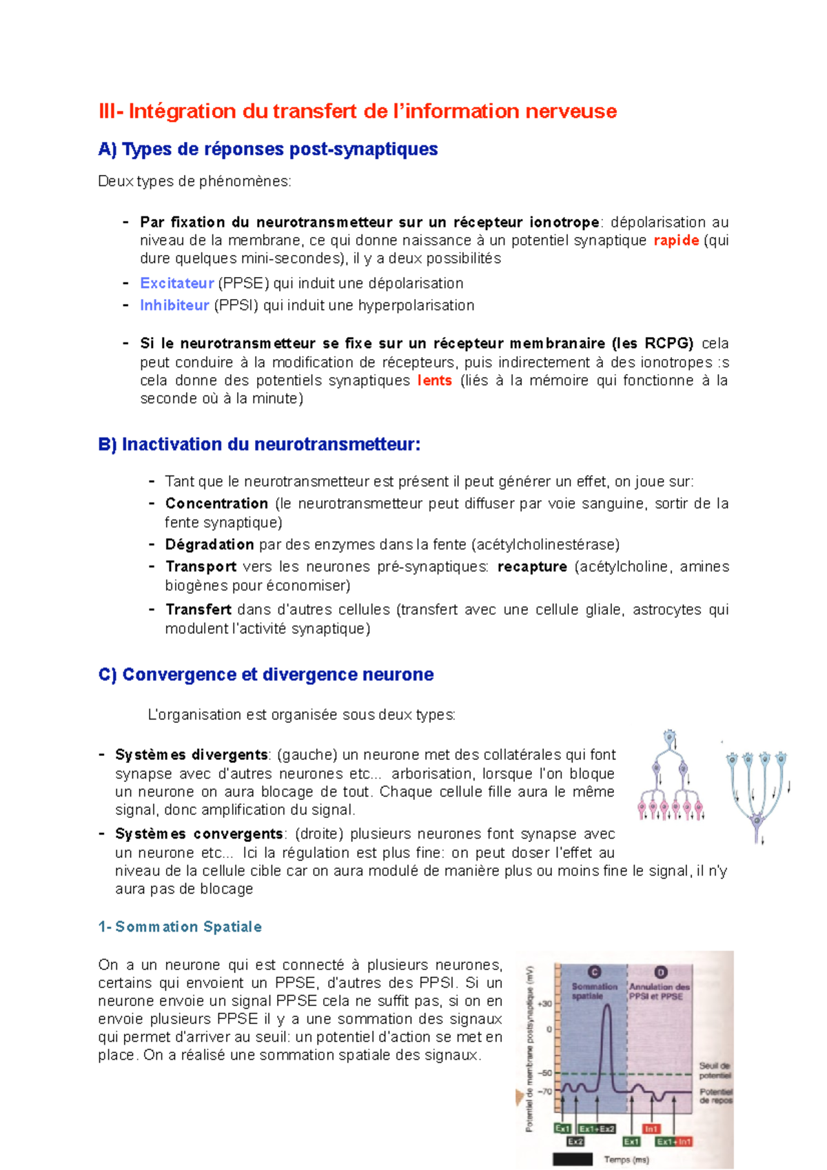 7. Intégration du transfert de l'information nerveuse - III ...