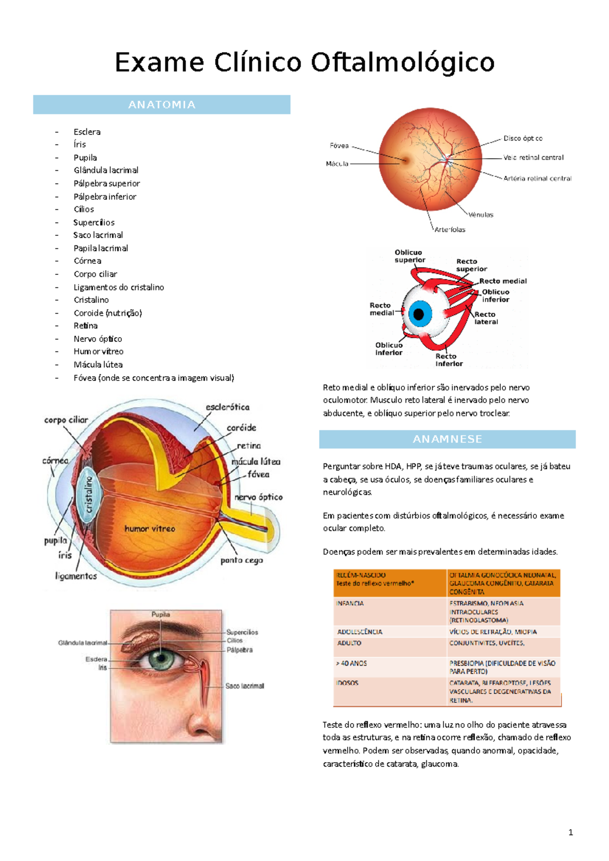 Semiologia Oftalmológica - Exame Clínico Oftalmológico ANATOMIA Esclera ...
