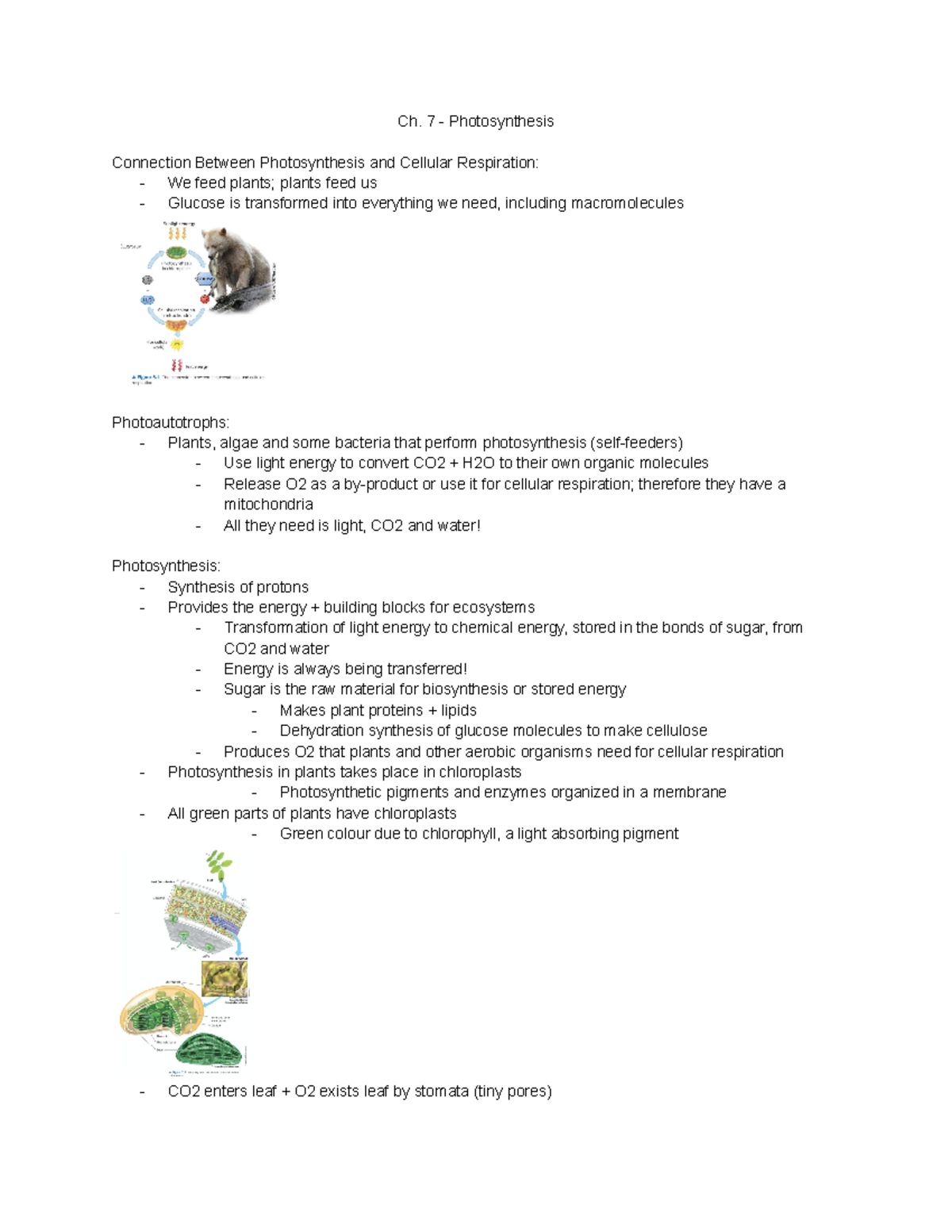 BIOL 150B - Photosynthesis - Ch. 7 - Photosynthesis Connection Between ...