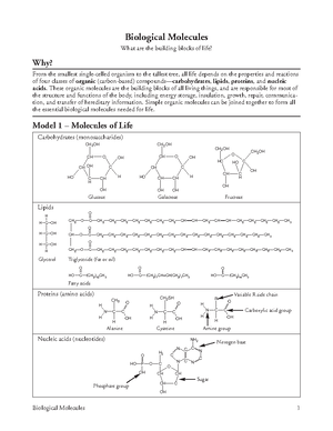 Heredity 4- Mendelian Genetics in Humans Packet - AP BIOLOGYHEREDITY ...