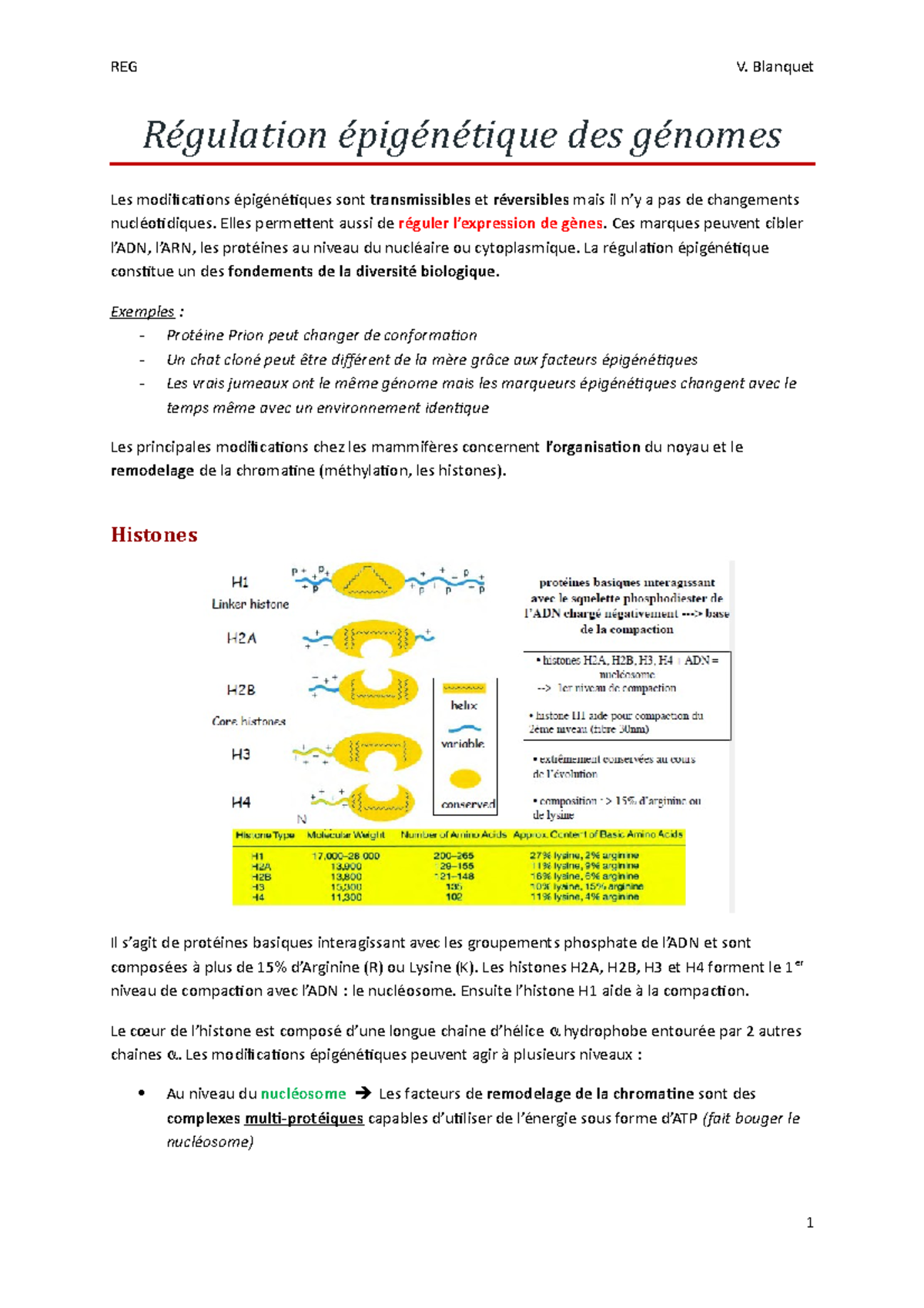C1 Régulation épigénétique des génomes - Régulation épigénétique des ...