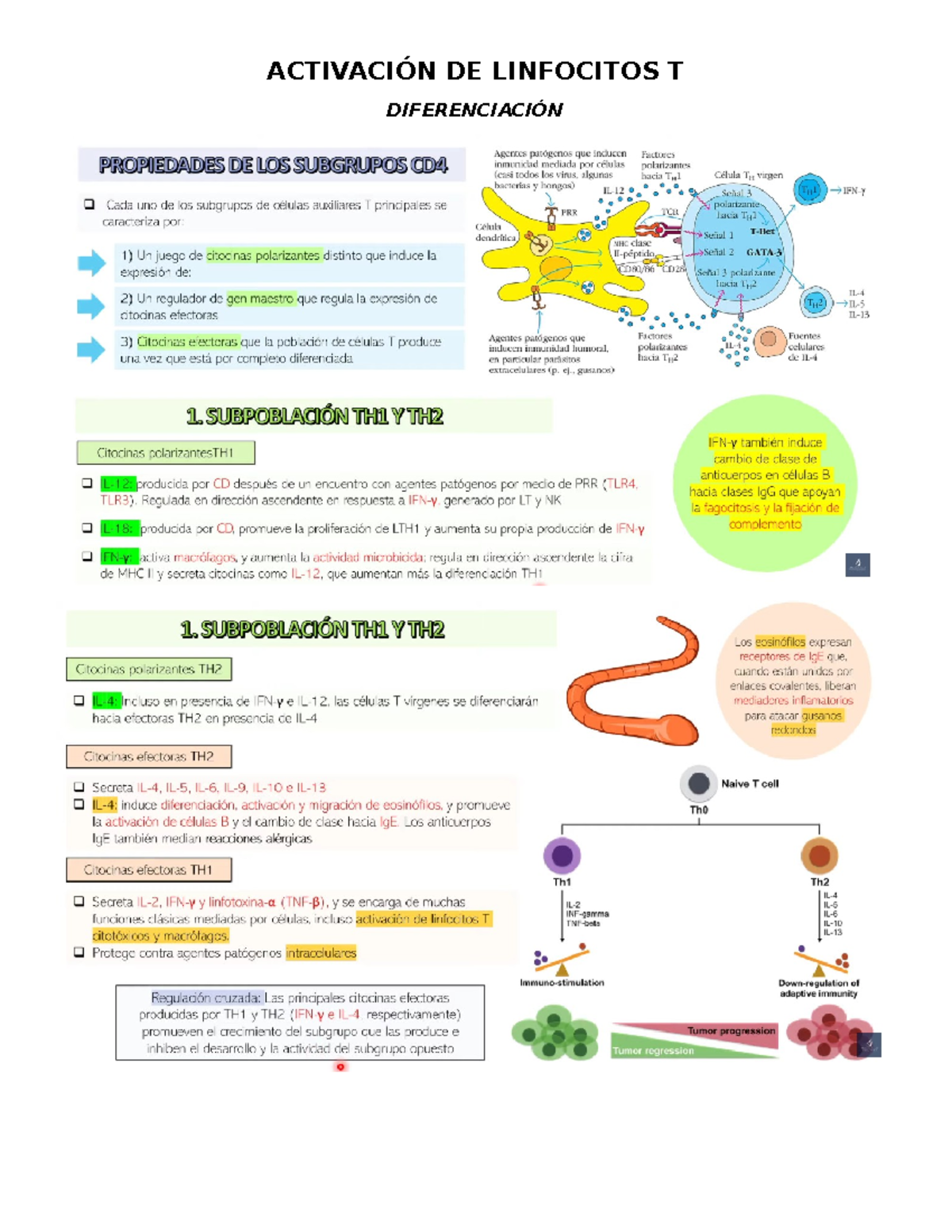 Activación DE Linfocitos T - Inmunología Médica - ACTIVACIÓN DE LINFOCITOS T DIFERENCIACIÓN ...